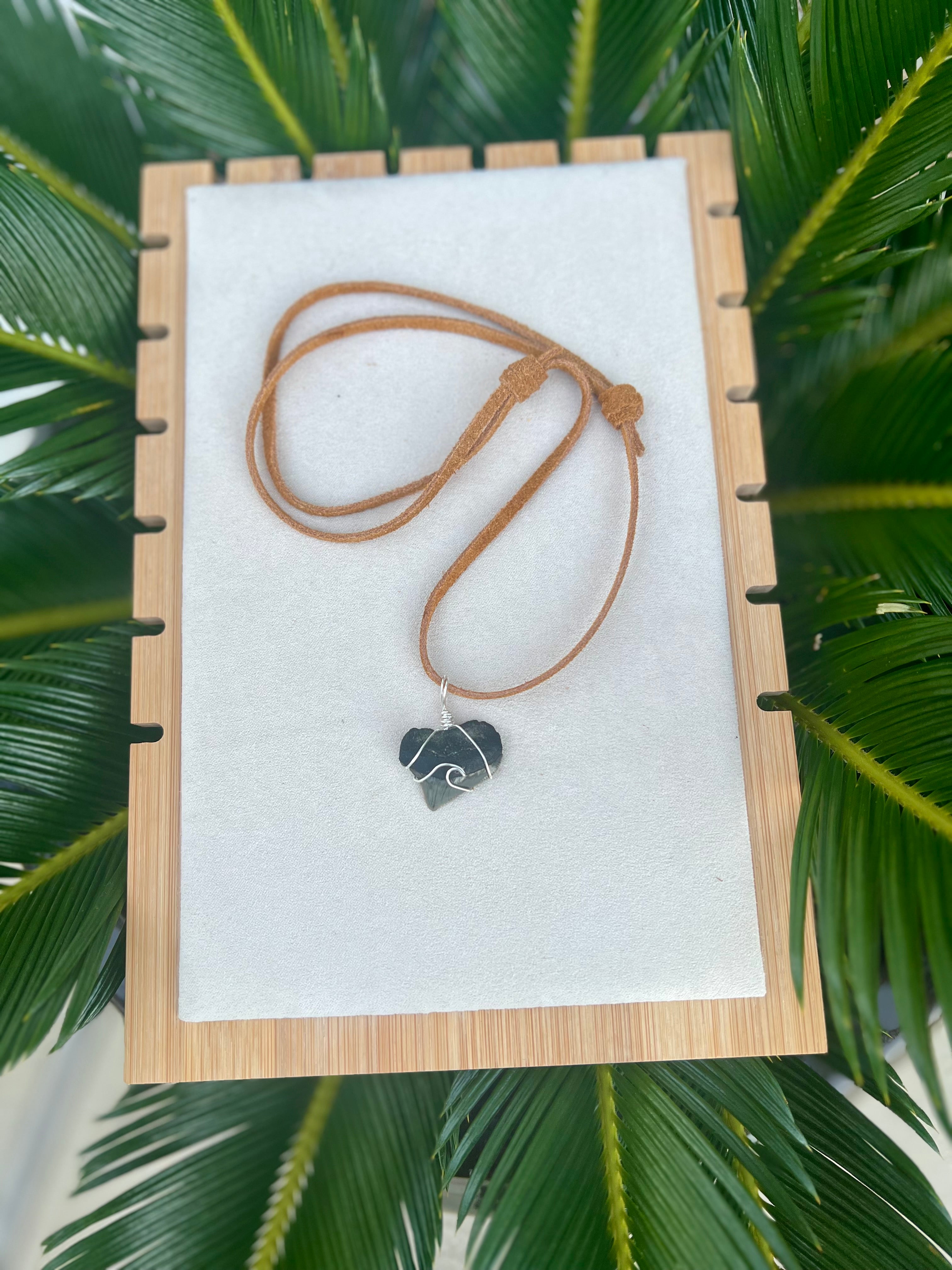 Tsunami- Crow shark tooth with adjustable leather chain – COAST Fossil Co.