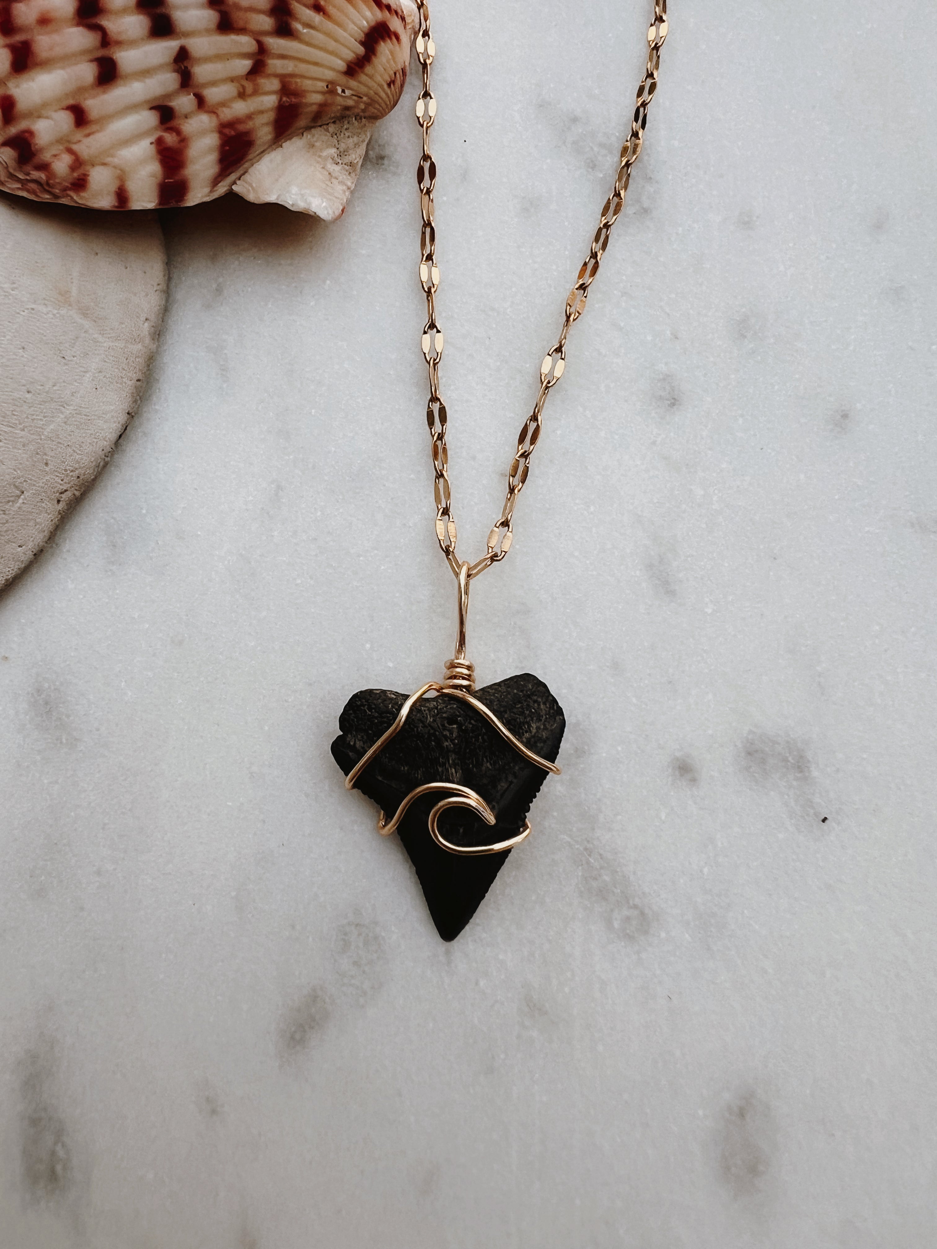 Seaside- Bull Shark Tooth + Wave Design – COAST Fossil Co.